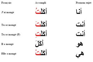 Apprenez 30 verbes arabes basiques | Apprendre Arabe | Apprentissage Arabe